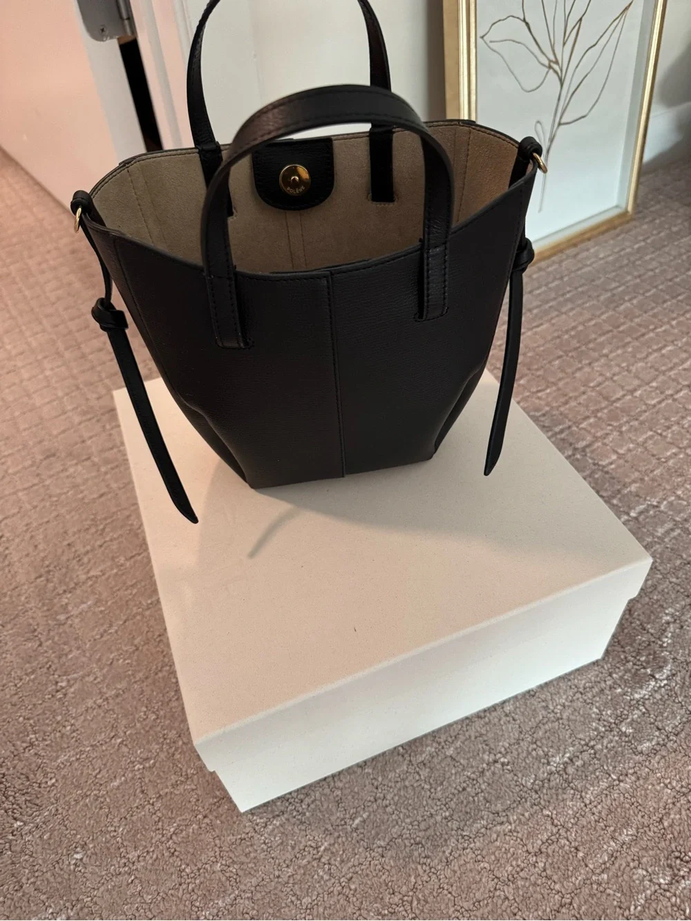Bags | Polene Cyme Nano Tote | Poshmark